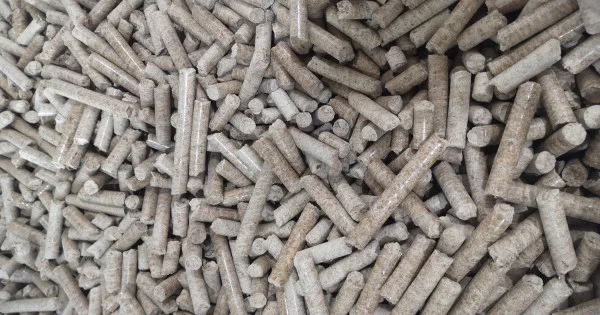 Rice Husk Pellet